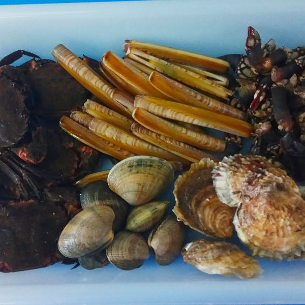 Mariscada gallega a domicilio. Este verano a disfrutar del marisco gallego!